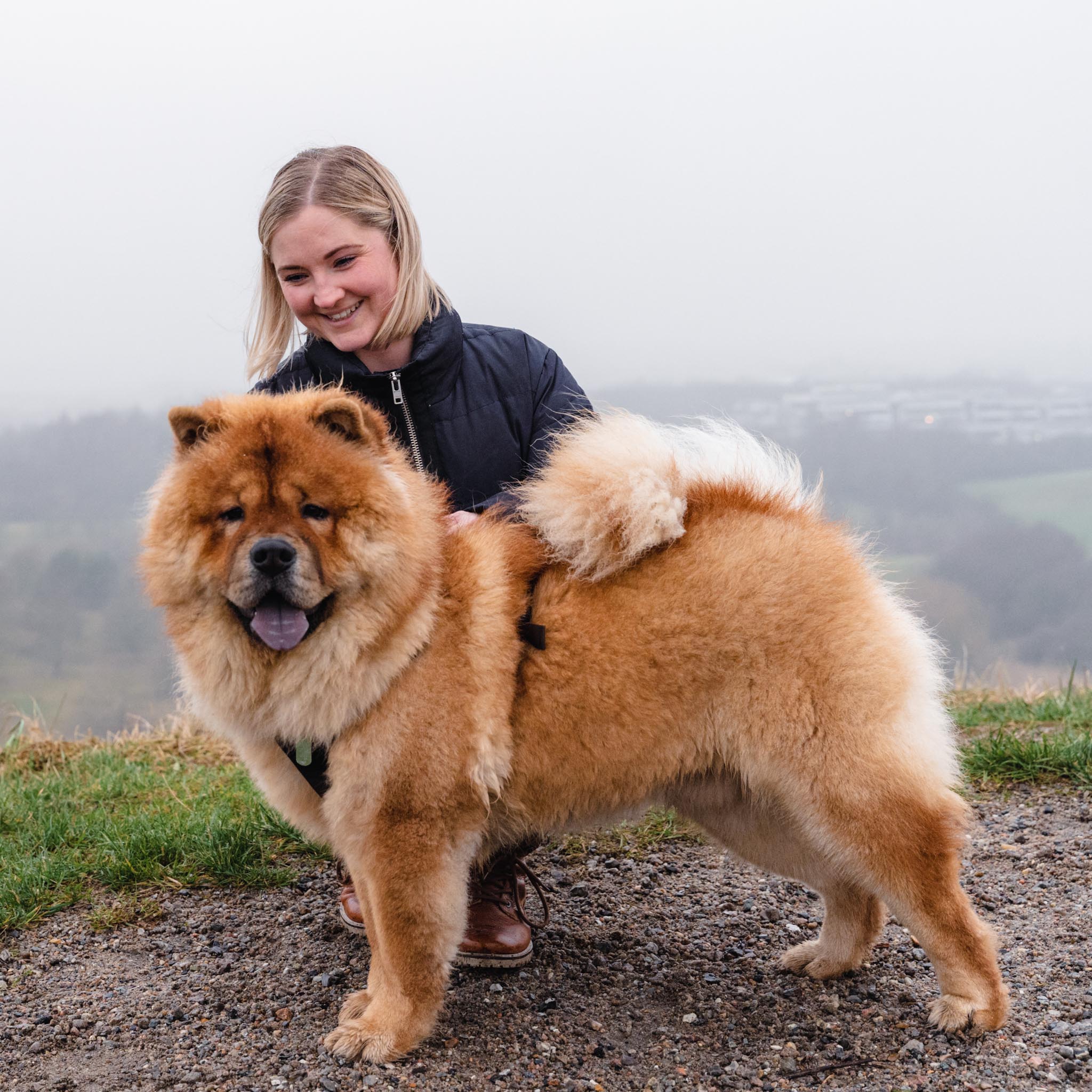 Vuffeli: Hundefoder leveret lige til din dør