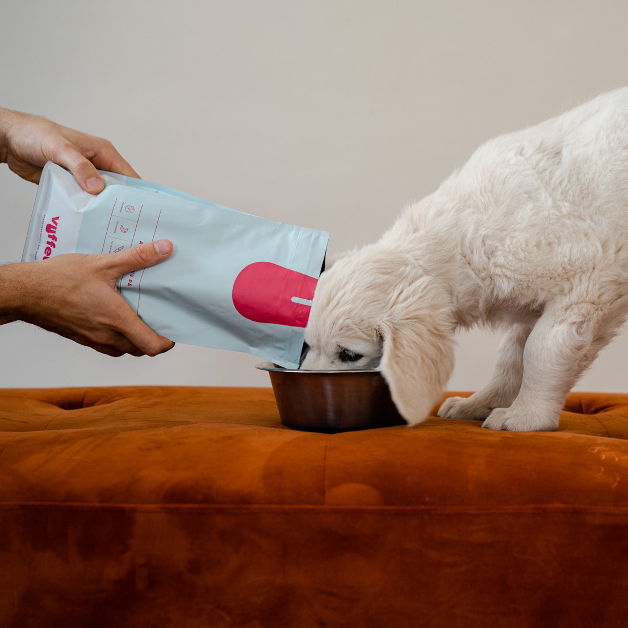 Vuffeli: Hundefoder leveret lige til din dør