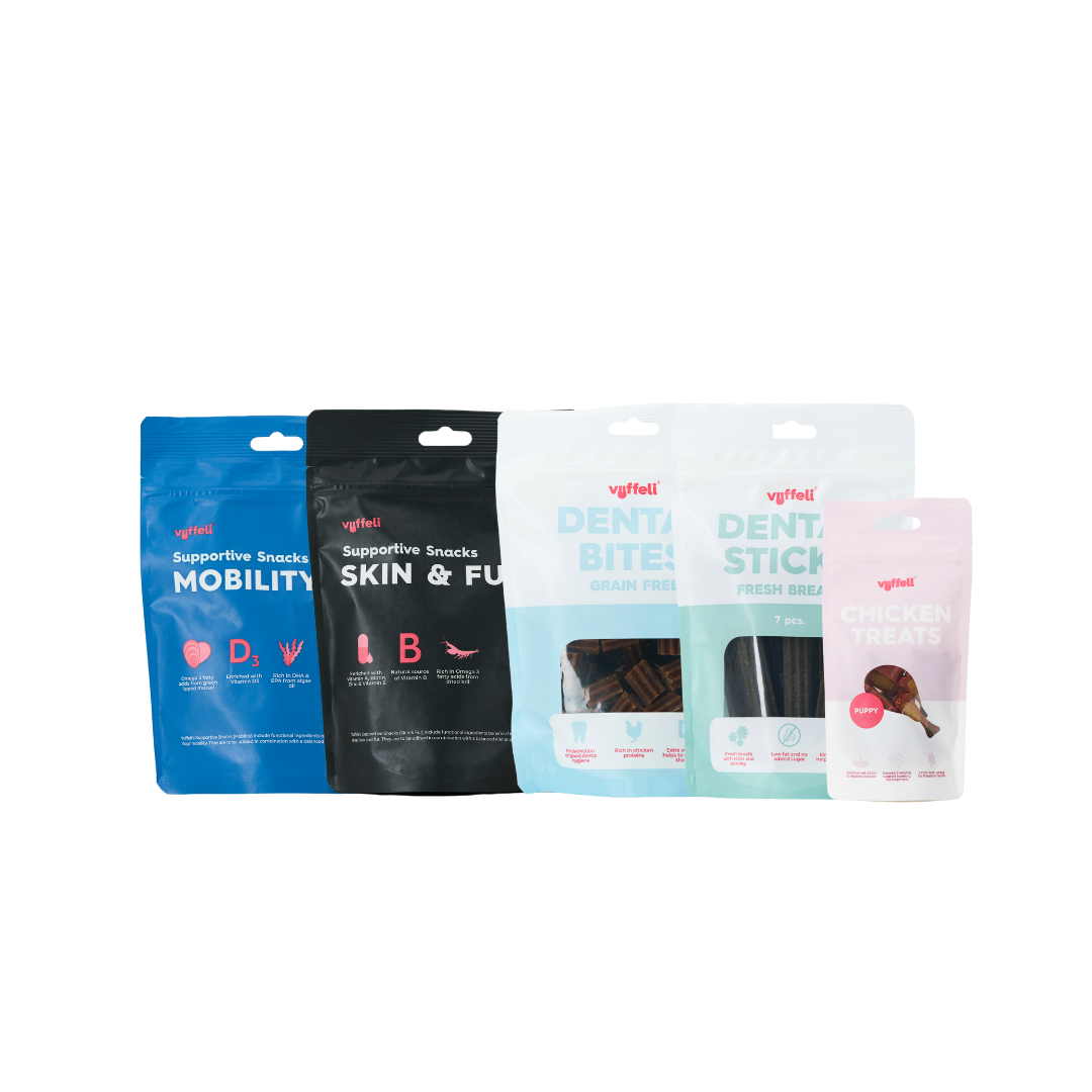 Vuffeli box: Snack Mix