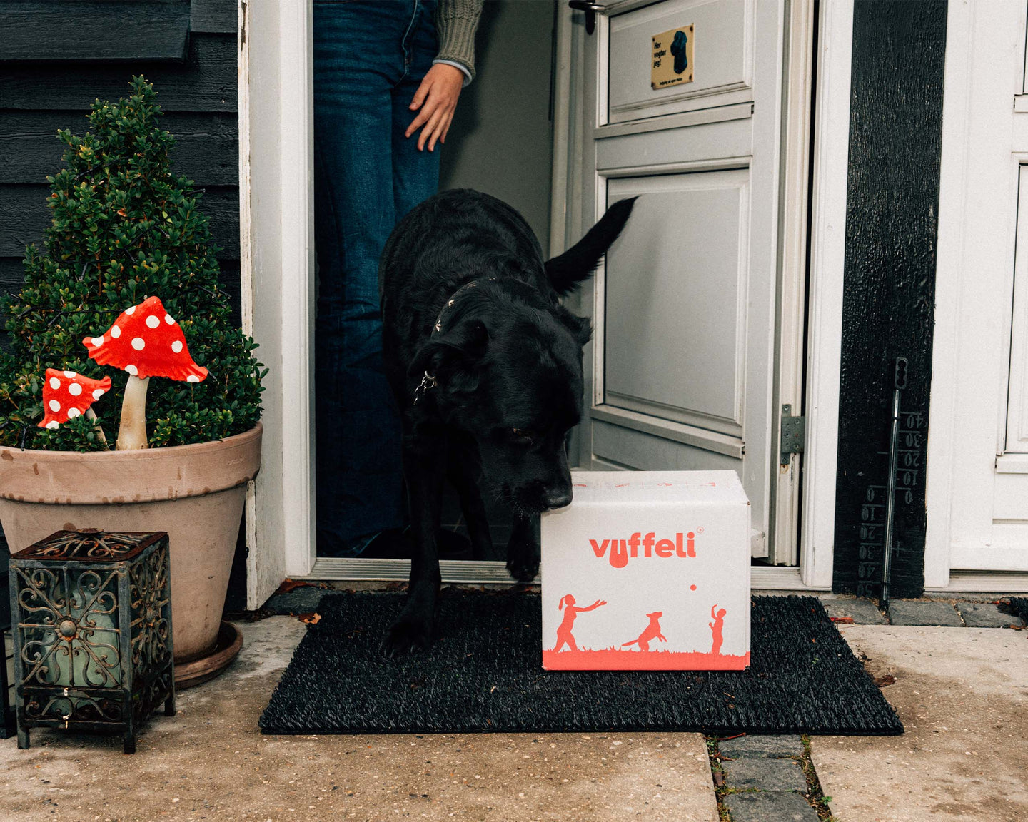 Vores foder | Vuffeli